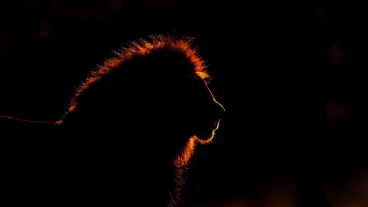 WILLIAM SUSANTO | Nature Photography